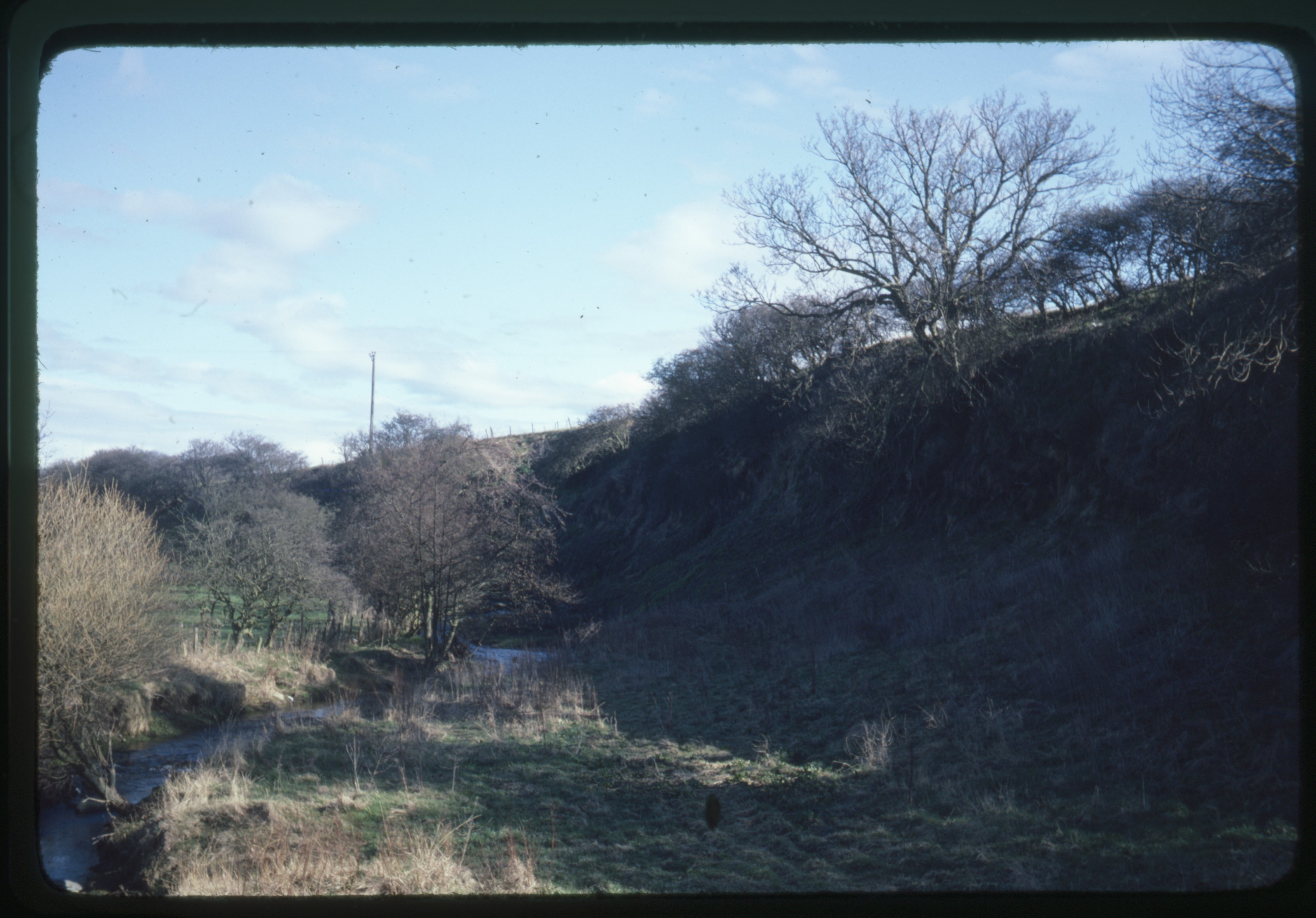 Monikie Burn, showing bluff and trees in Monikie, Scotland