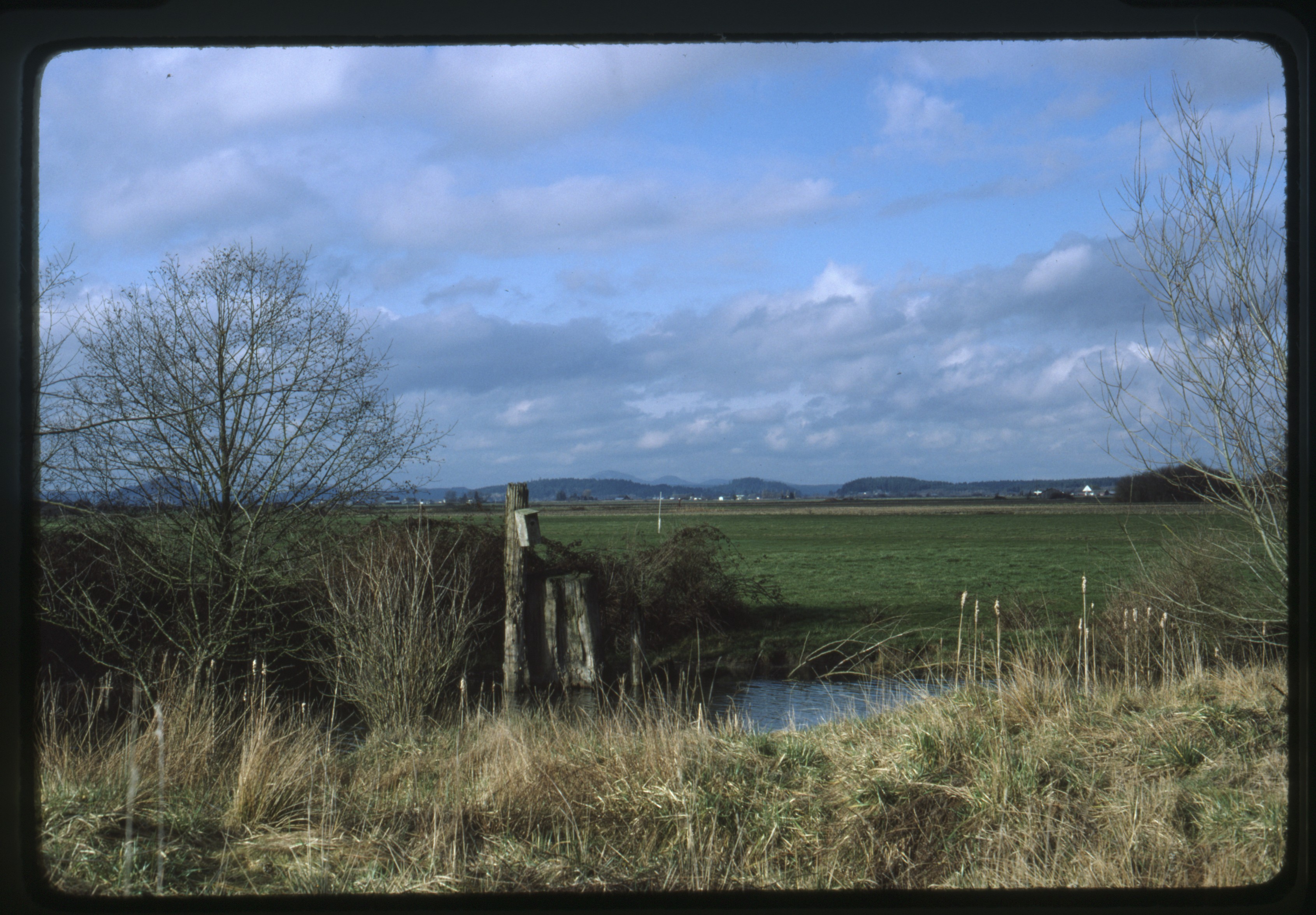 Ivan Doig Archive - Digital Collection Item
