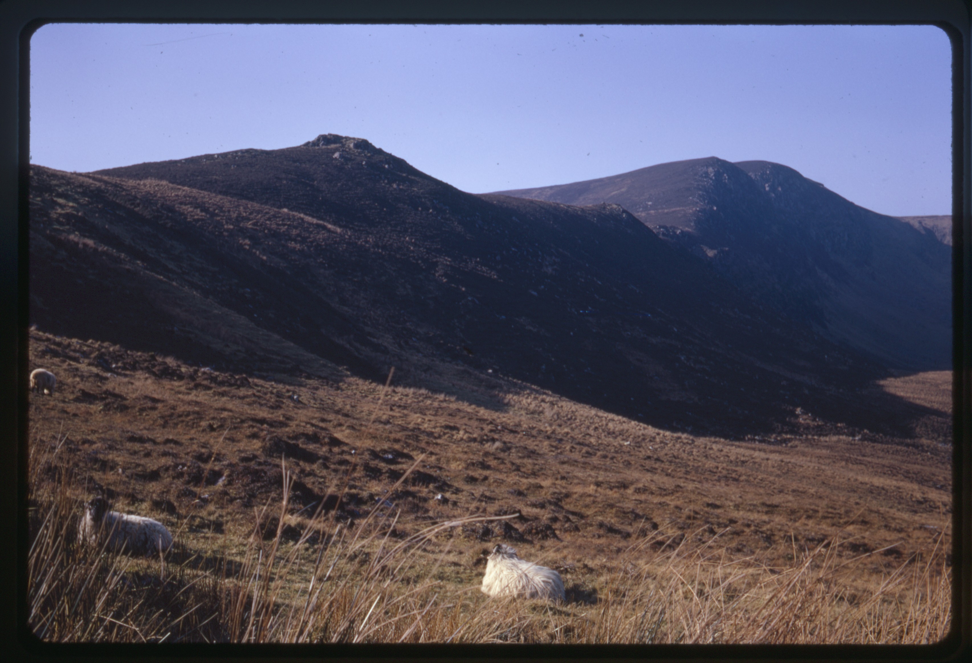 Ivan Doig Archive - Digital Collection Item