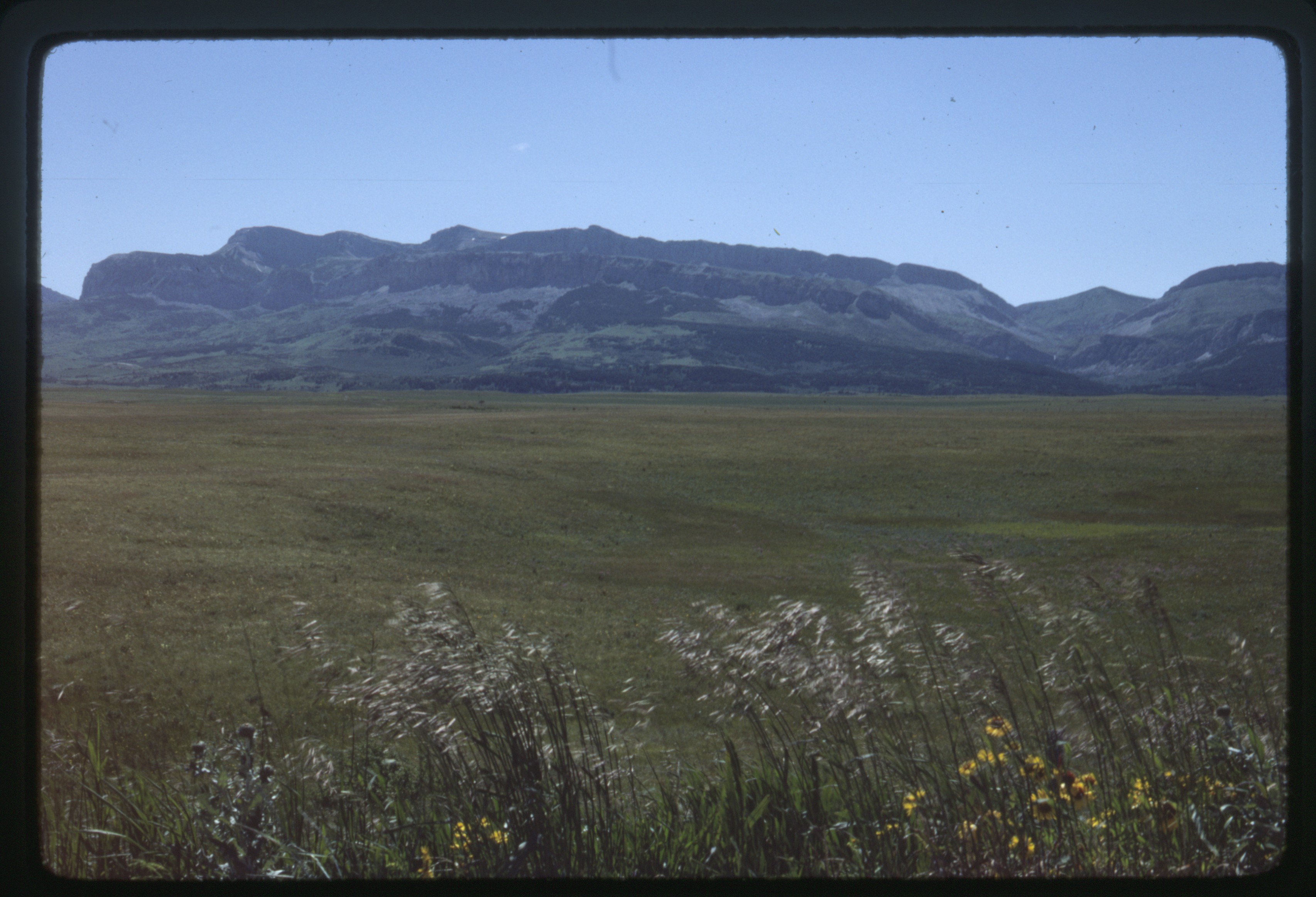 Road to Swift Dam