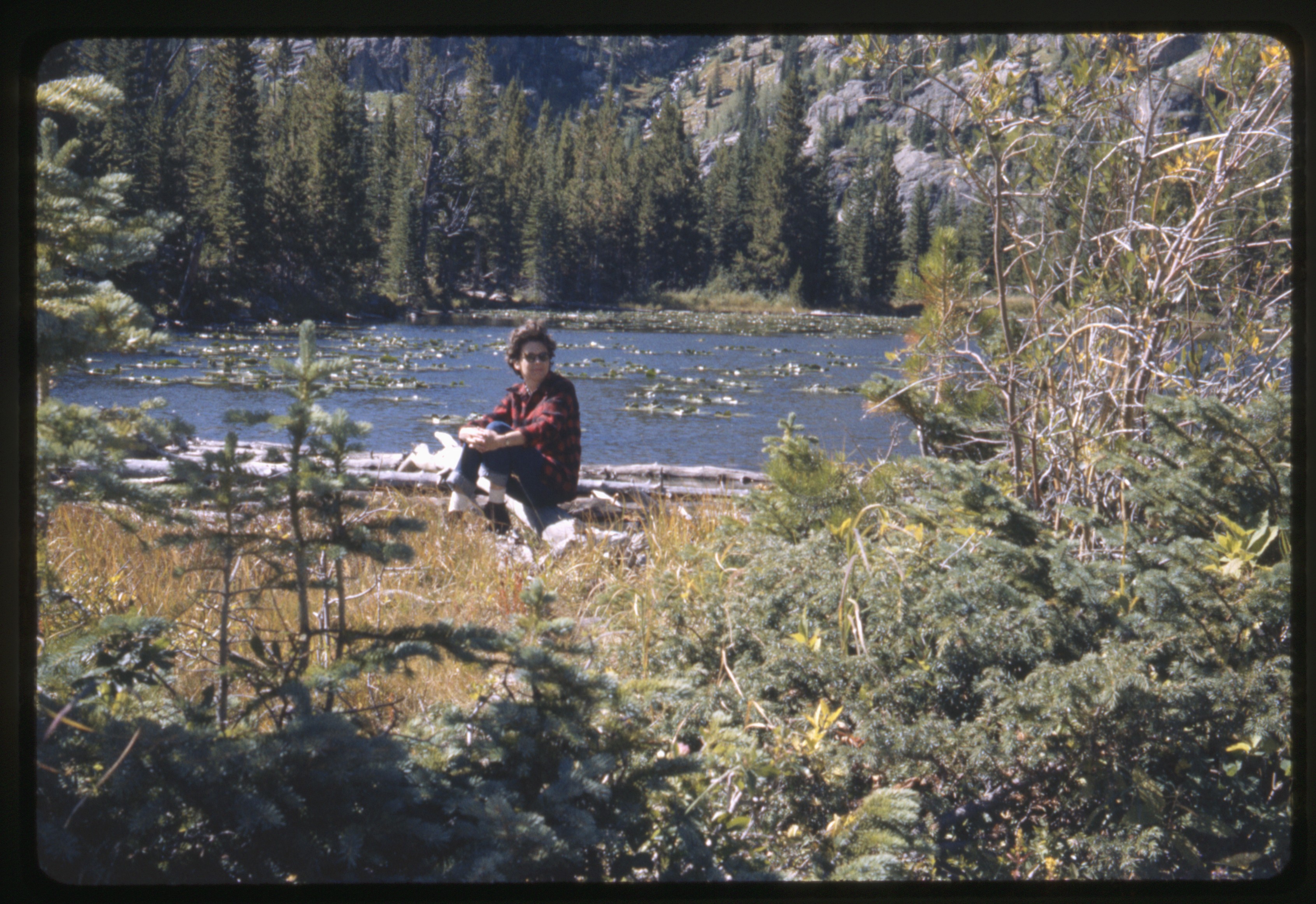 Carol Doig sits on a log in Glacier National Park