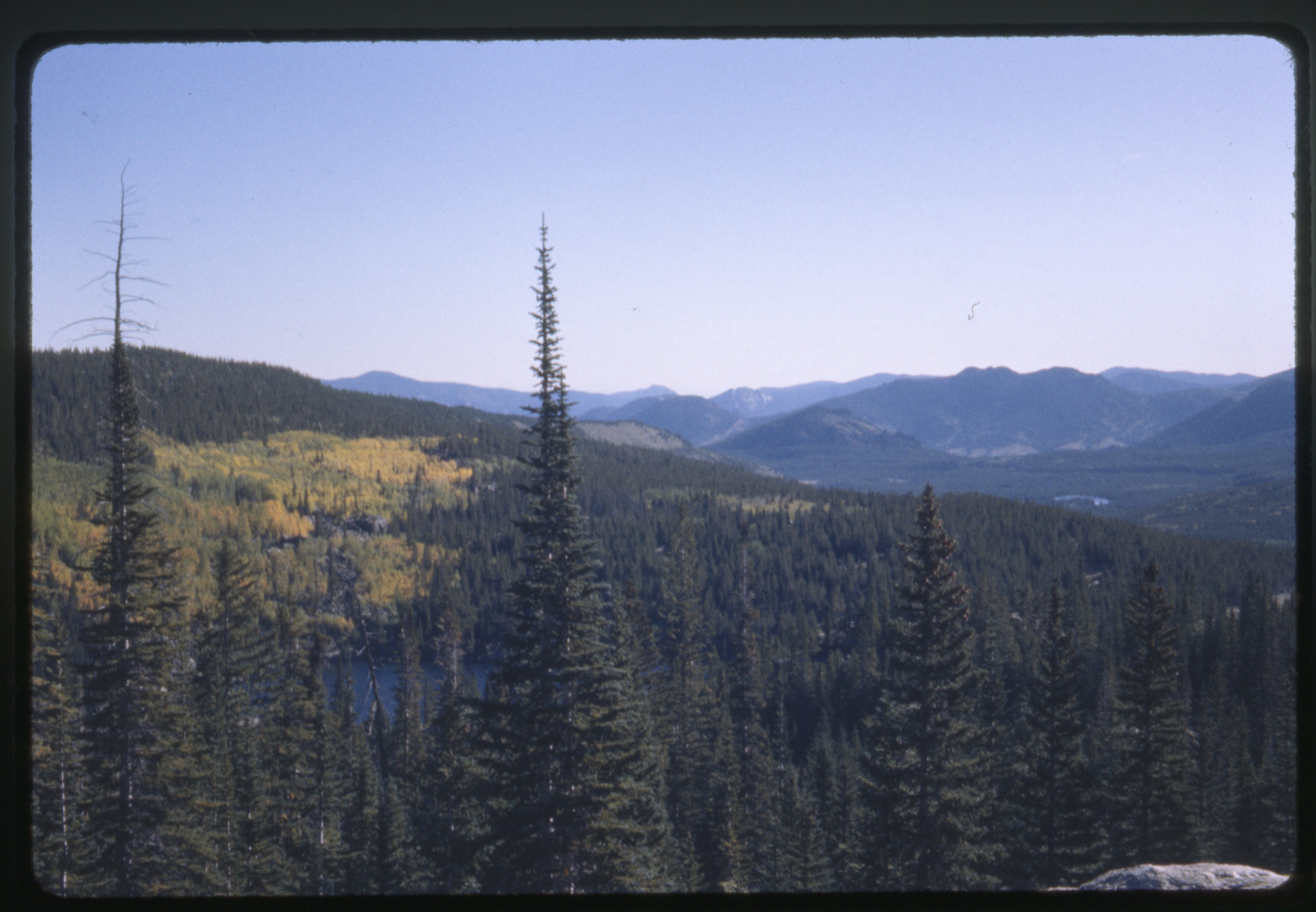 Ivan Doig Archive - Digital Collection Item