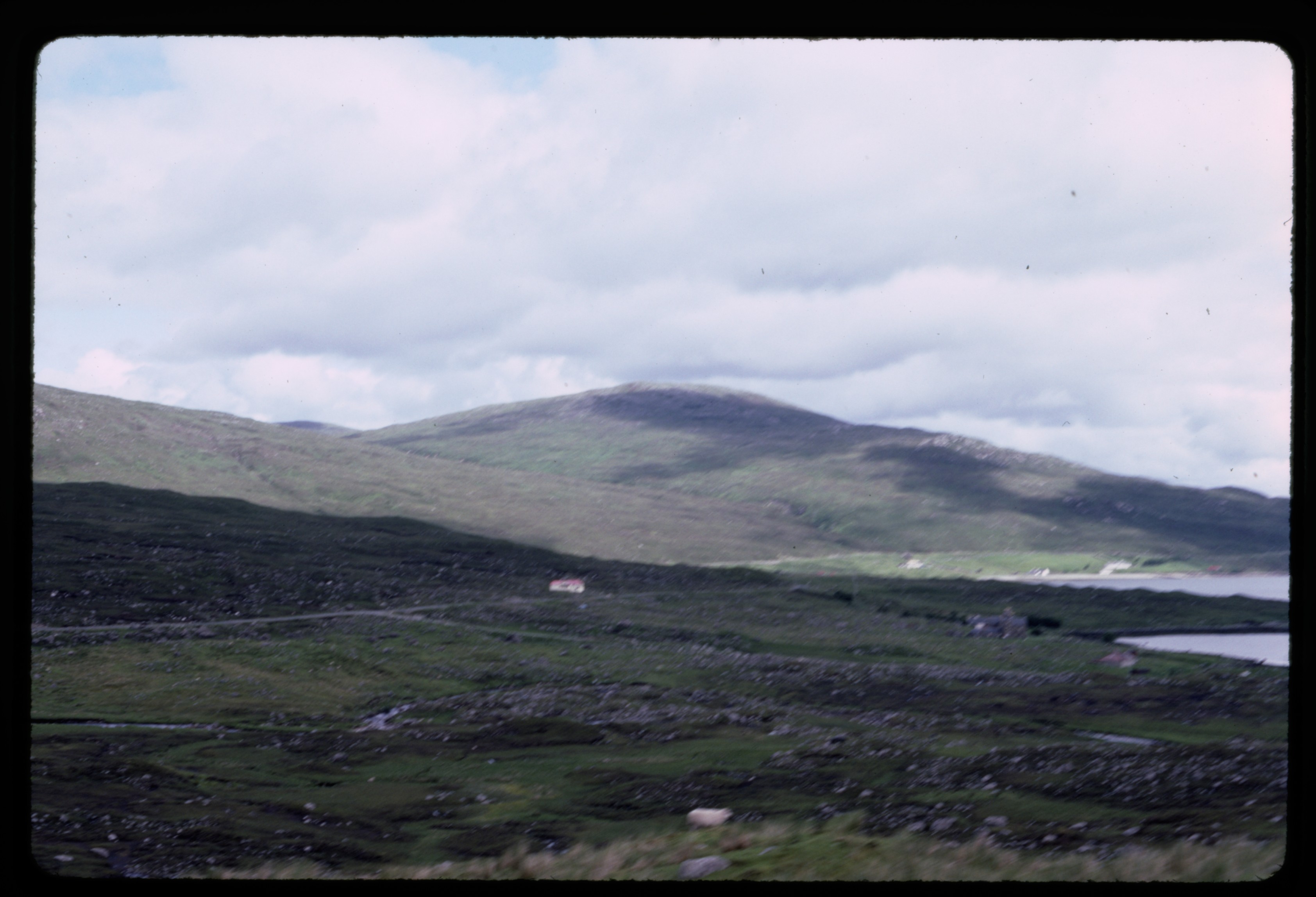 Isle of Lewis, Scotland - landscape with houses and sheep