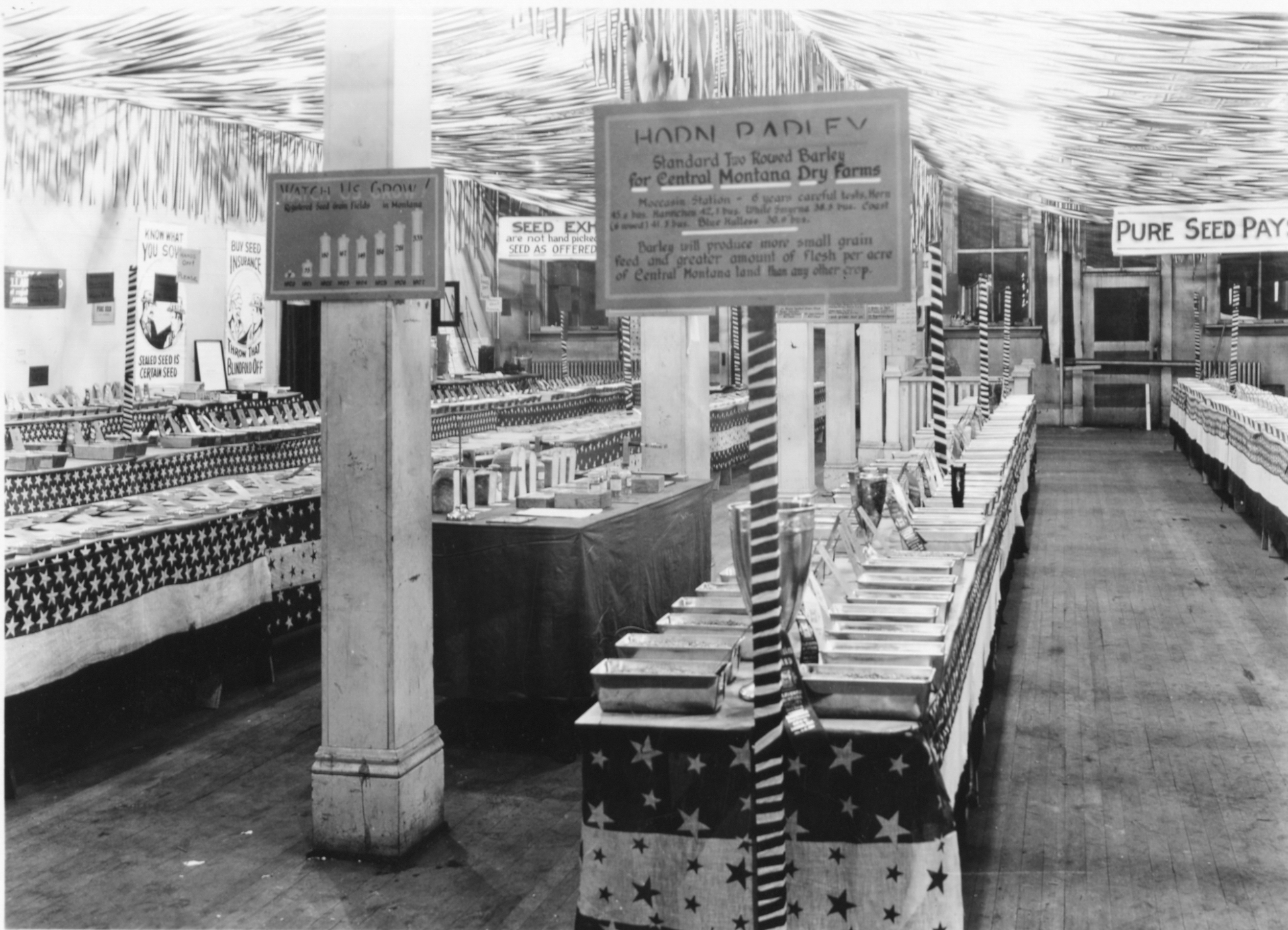 Certified seed Exhibit by the Montana Seed Growers Association.