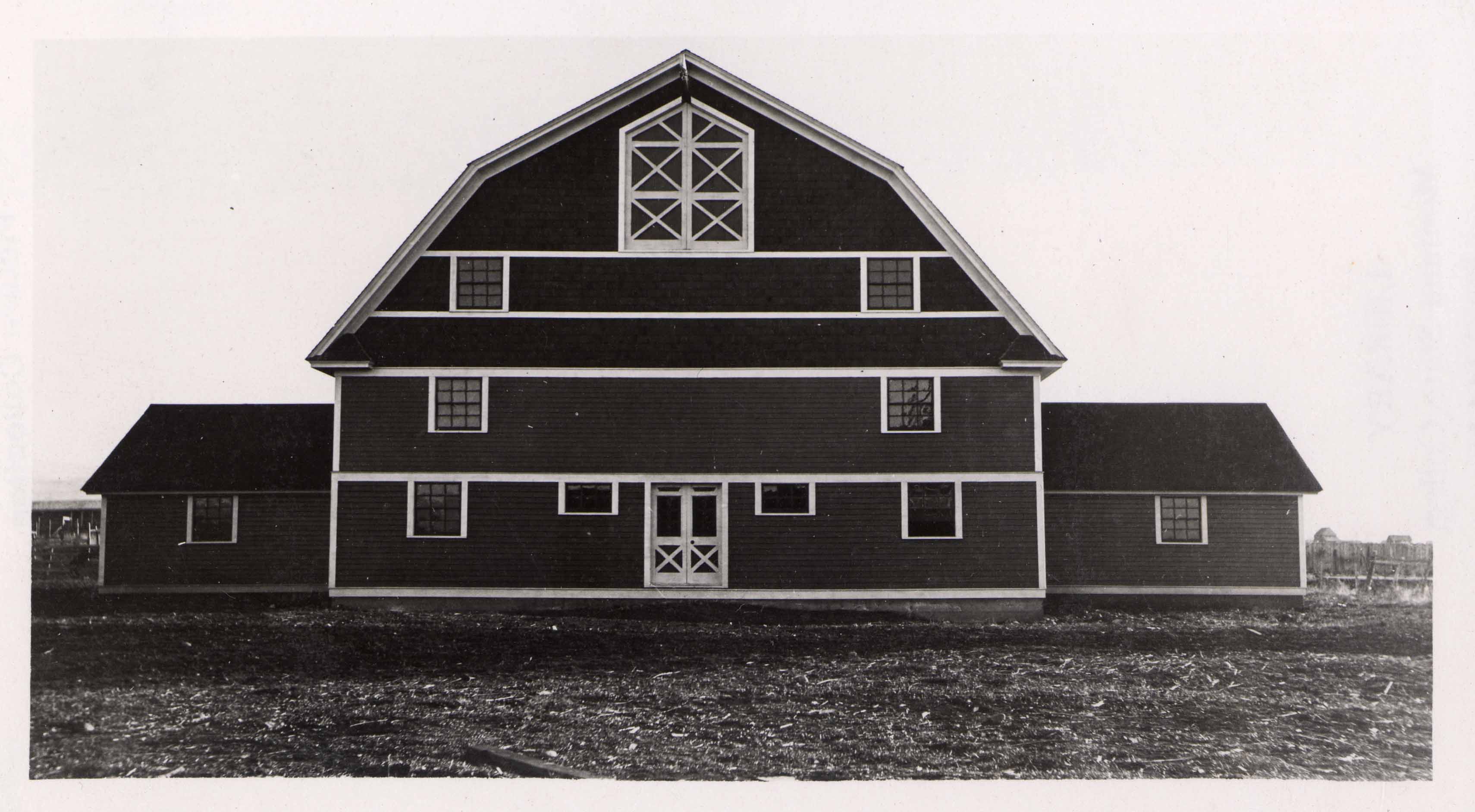 Steer Feeding Barn, 1911
