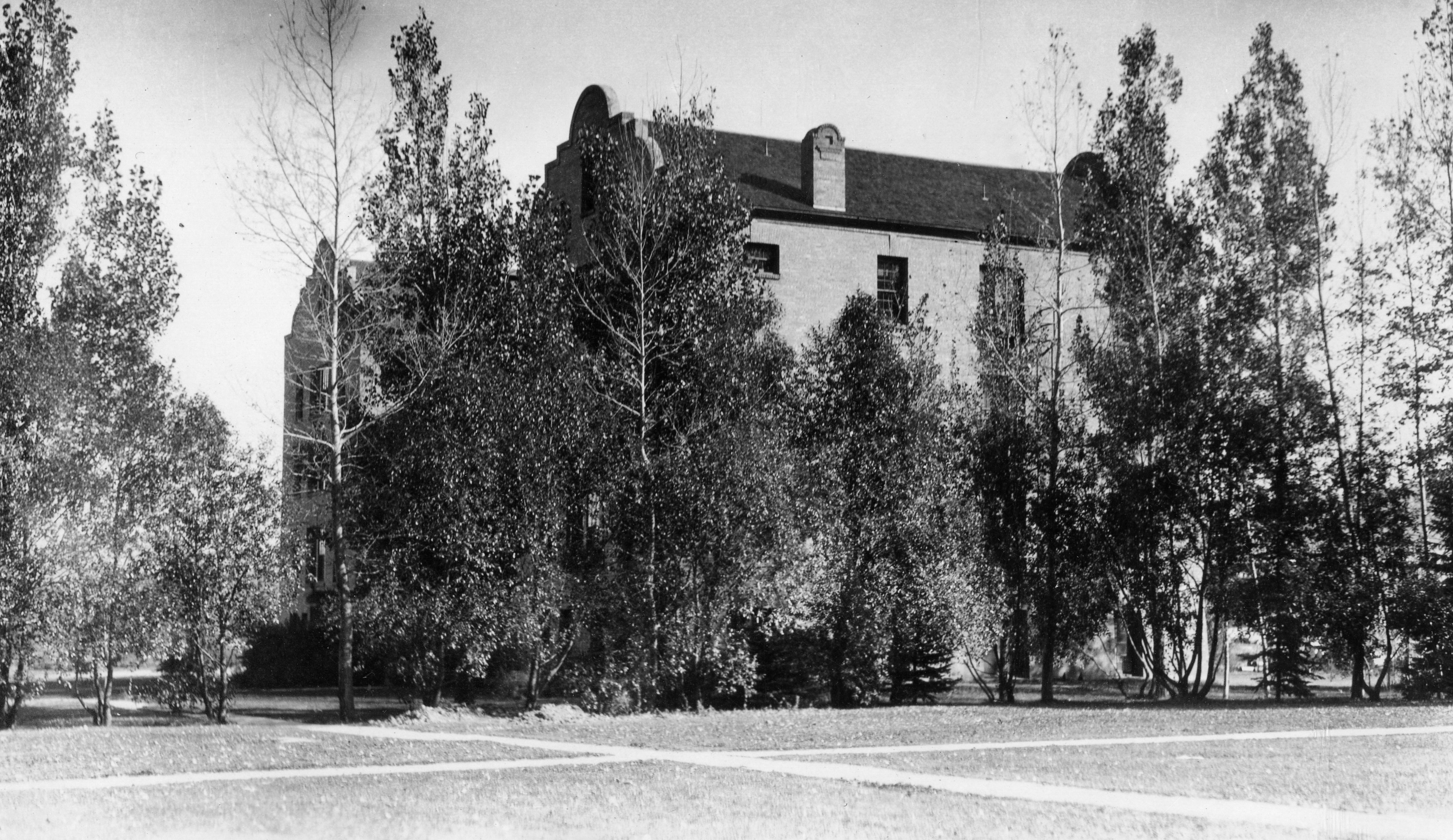 Hamilton Hall Surrounded by Trees