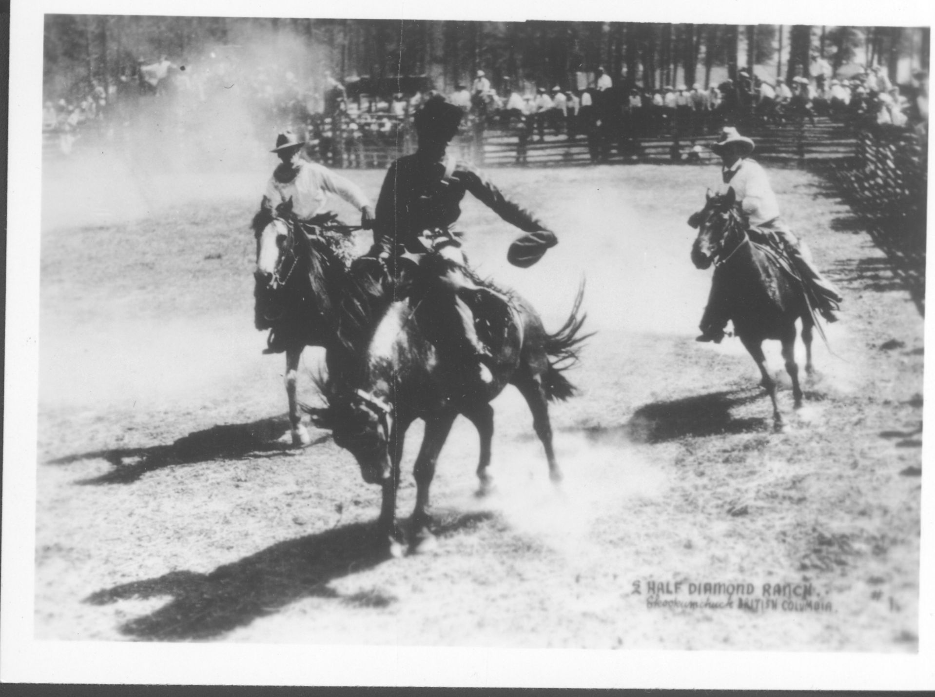 Rodeo at Half Diamond Ranch, British Columbia