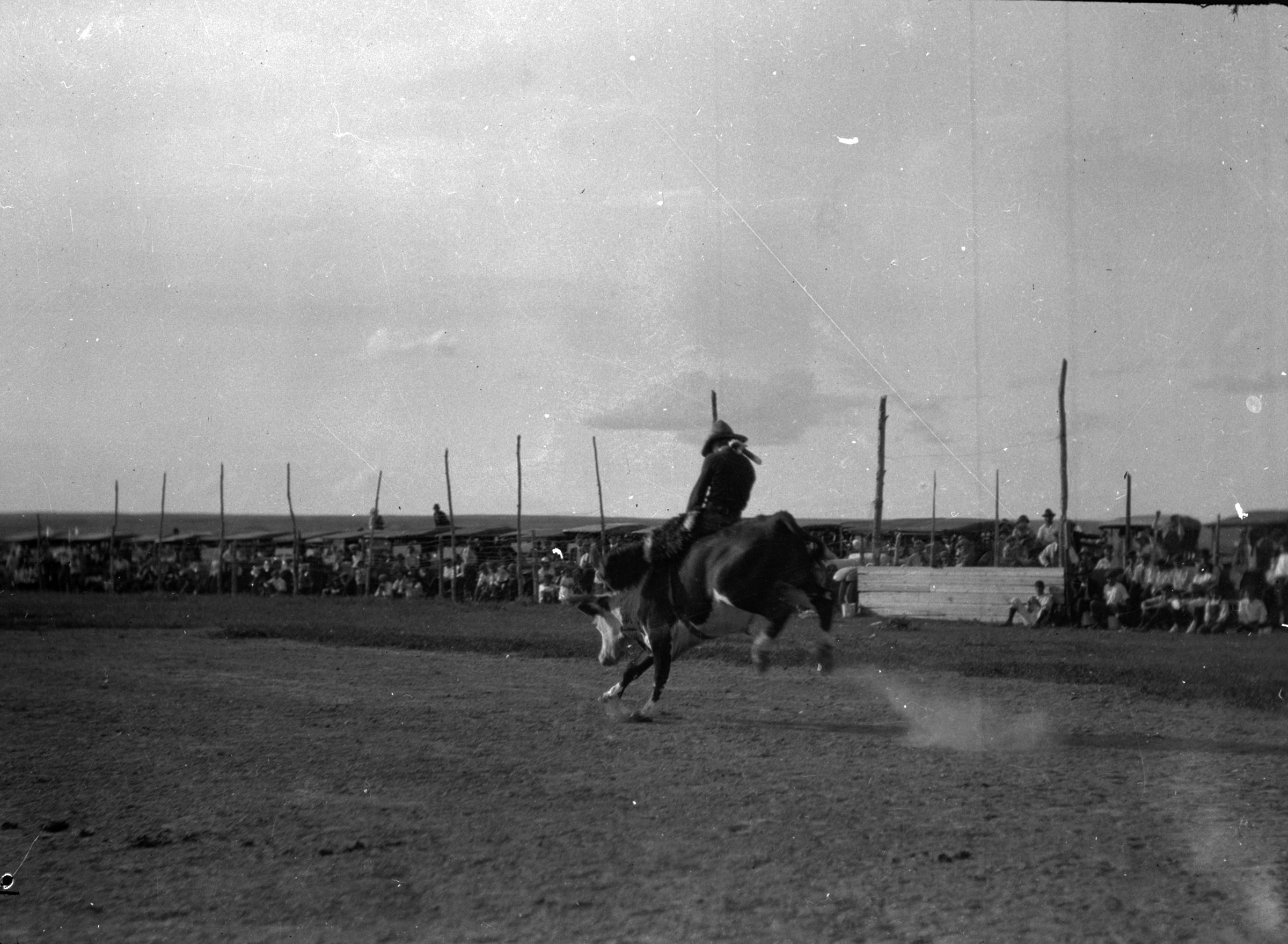 Sidney, Montana - Rodeo & Fair - bull riding