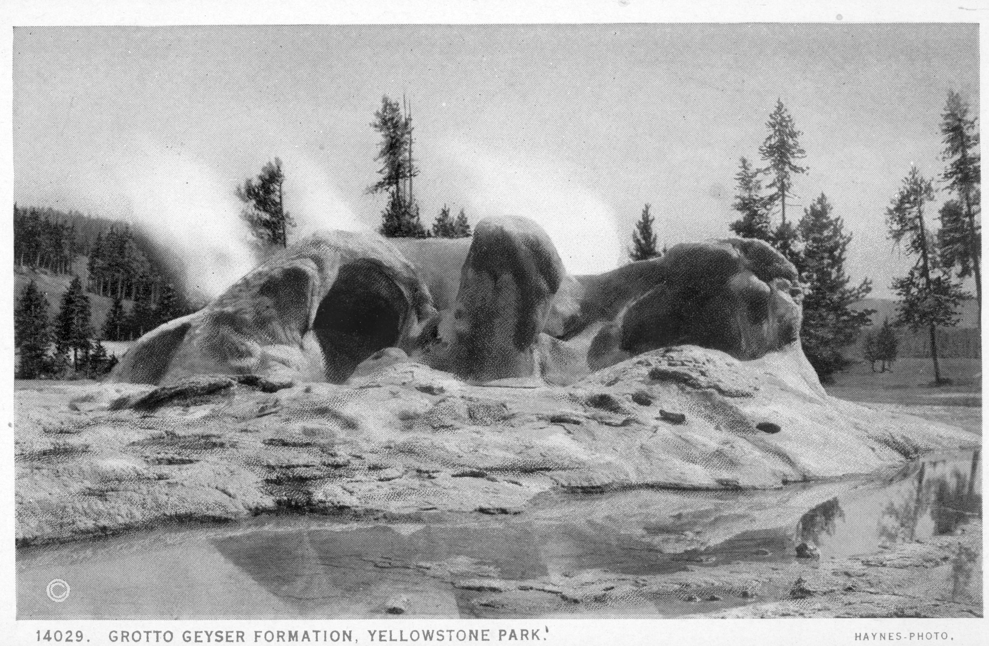 Grotto Geyser Formation, Yellowstone Park